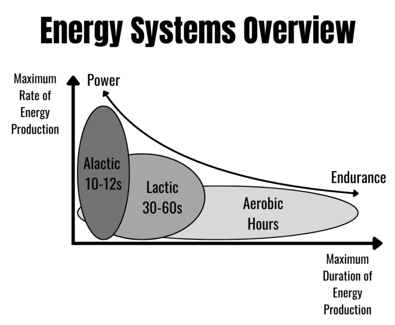 Energy System Development Part 1: The Energy Systems Explained - Hagele ...